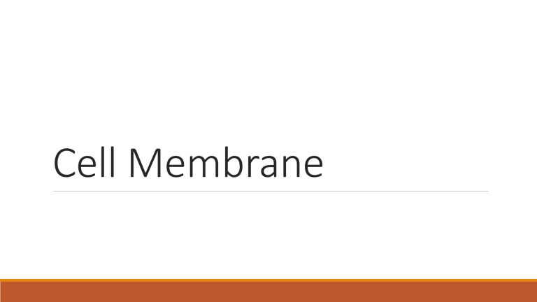 Cell Membrane Structure and Function