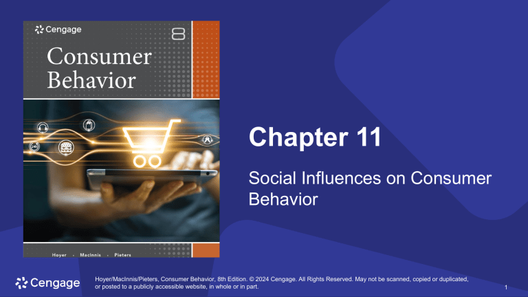 Chapter 11: Social Influences on Consumer Behavior