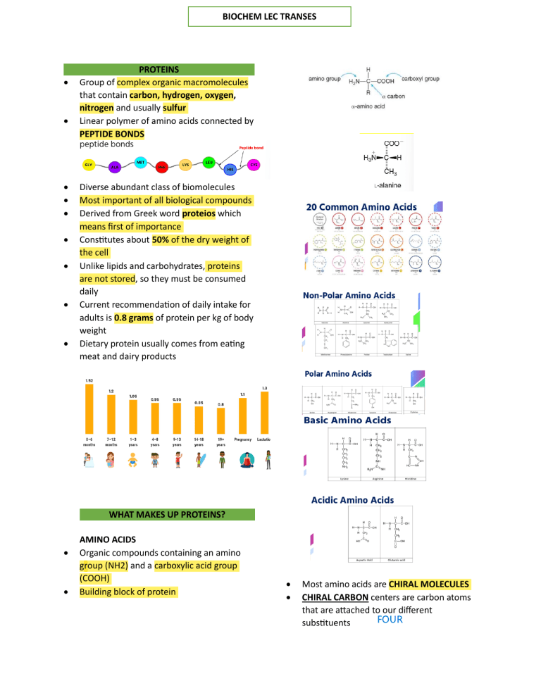 Biochemistry Lecture Notes: Proteins