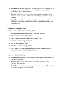 Diffusion Osmosis Active Transport Table - Biology Worksheet