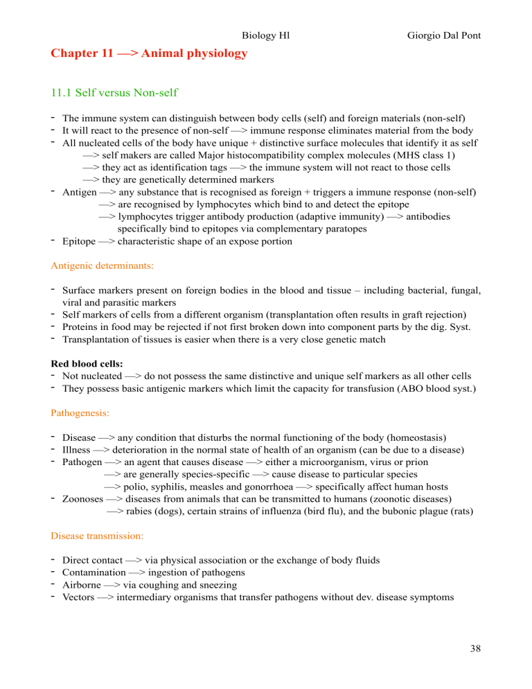 Biology HL Animal Physiology Notes