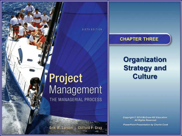 Project Management Organization Strategy