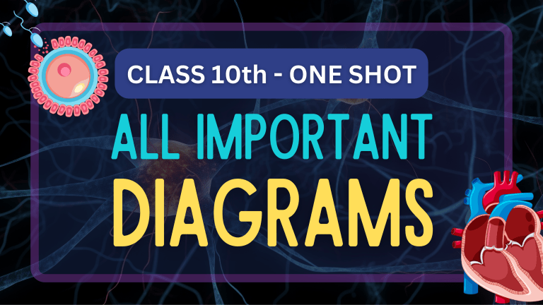 Class 10th Important Diagrams: Biology & Science