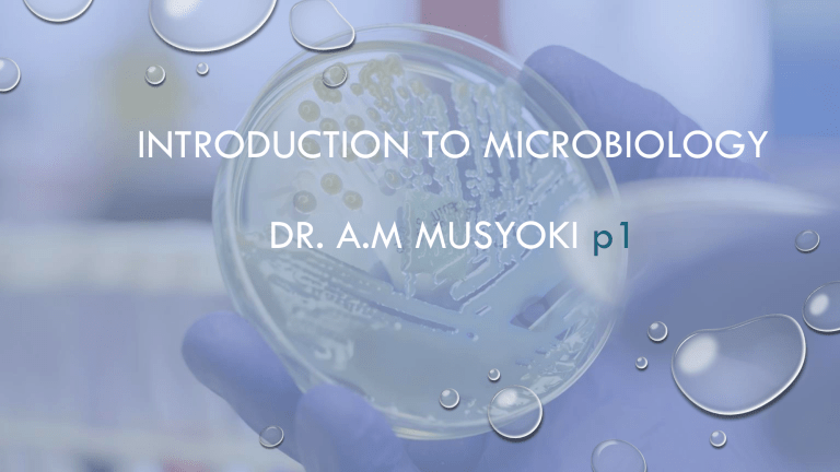 Introduction to Microbiology: Bacteria, Viruses, Fungi