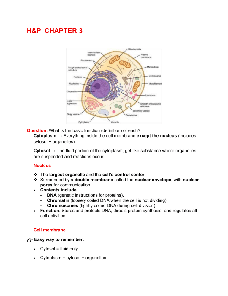 Cell Biology Study Guide: Structure, Function & Cycle