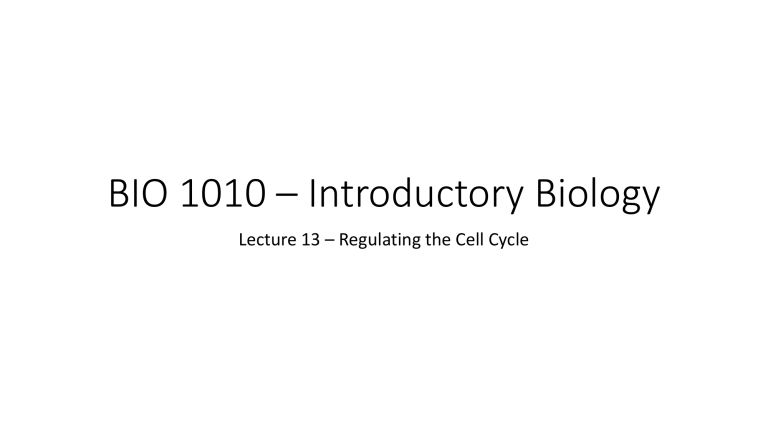 BIO 1010 Lecture 13: Regulating the Cell Cycle