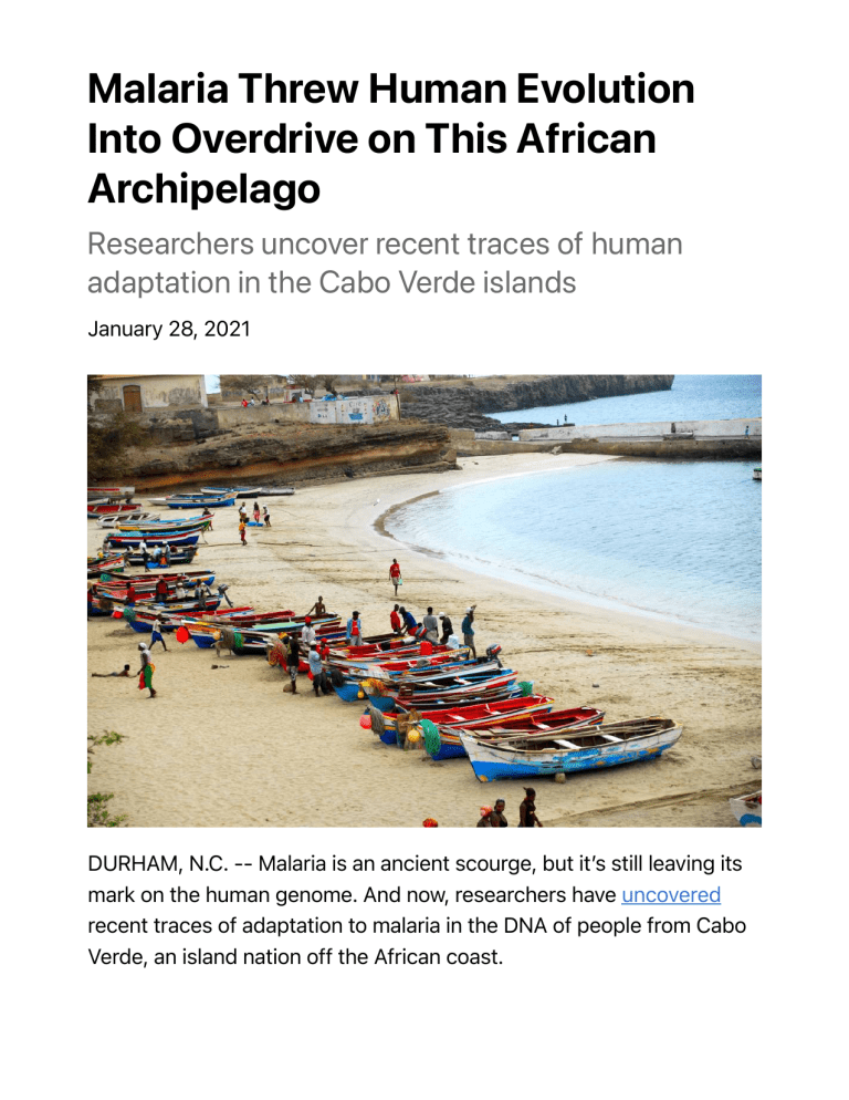 Malaria's Impact on Human Evolution in Cabo Verde