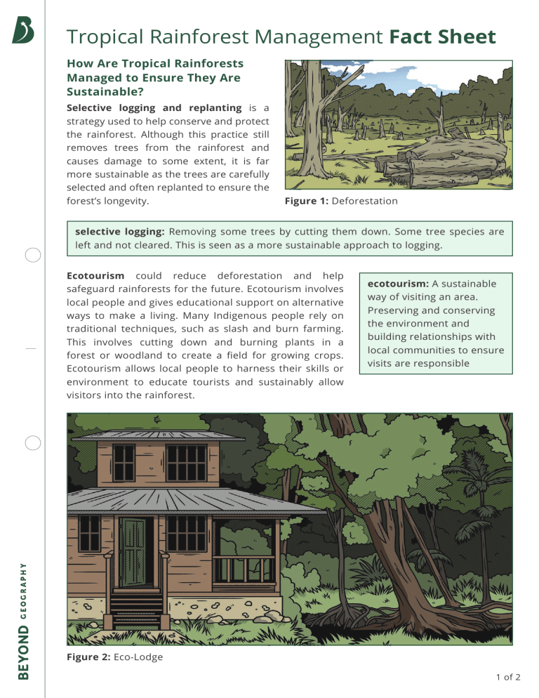 Sustainable Tropical Rainforest Management