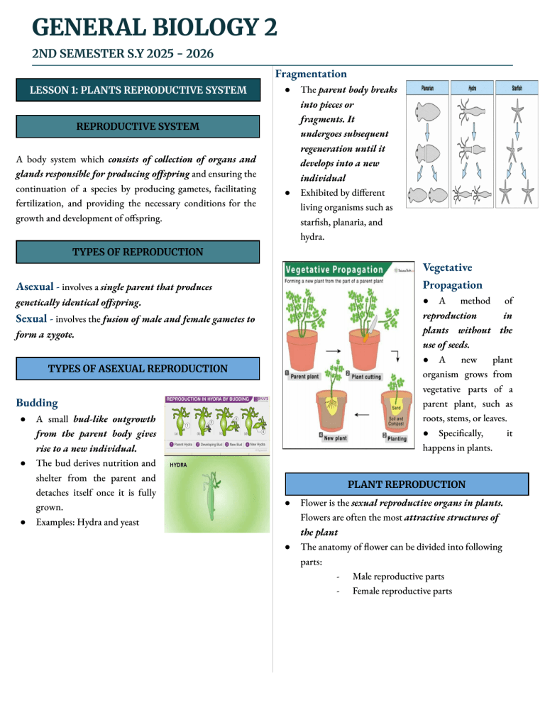 General Biology 2 Lecture Notes S.Y 2025-2026