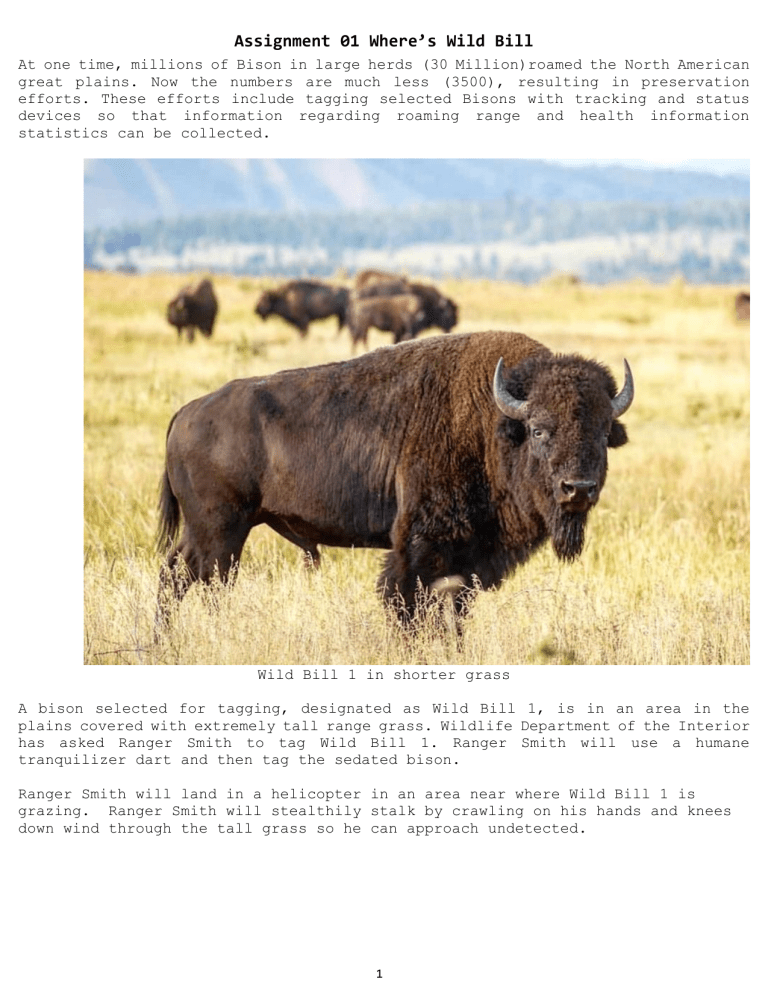 Assignment 01: Where's Wild Bill - Bison Pattern Search