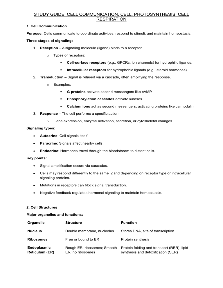 Study Guide: Cell Communication, Photosynthesis, and Respiration