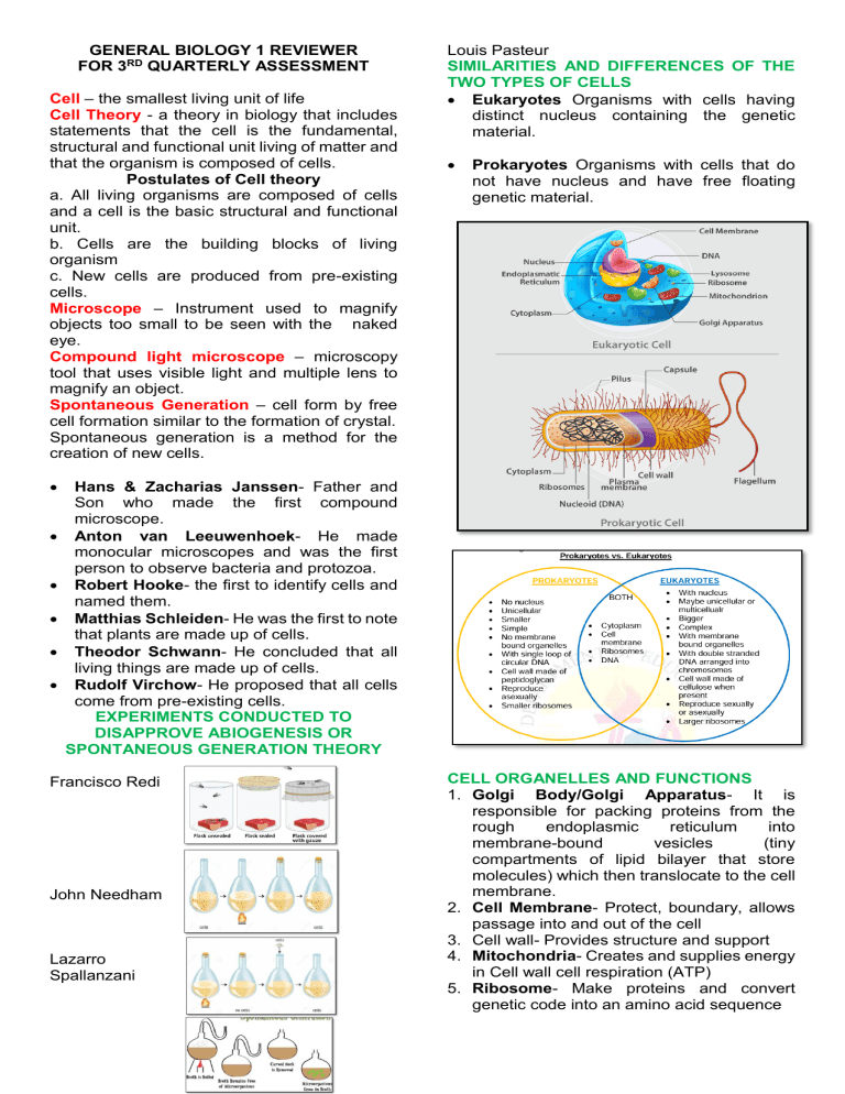 General Biology 1 Reviewer: Cell Theory & Organelles