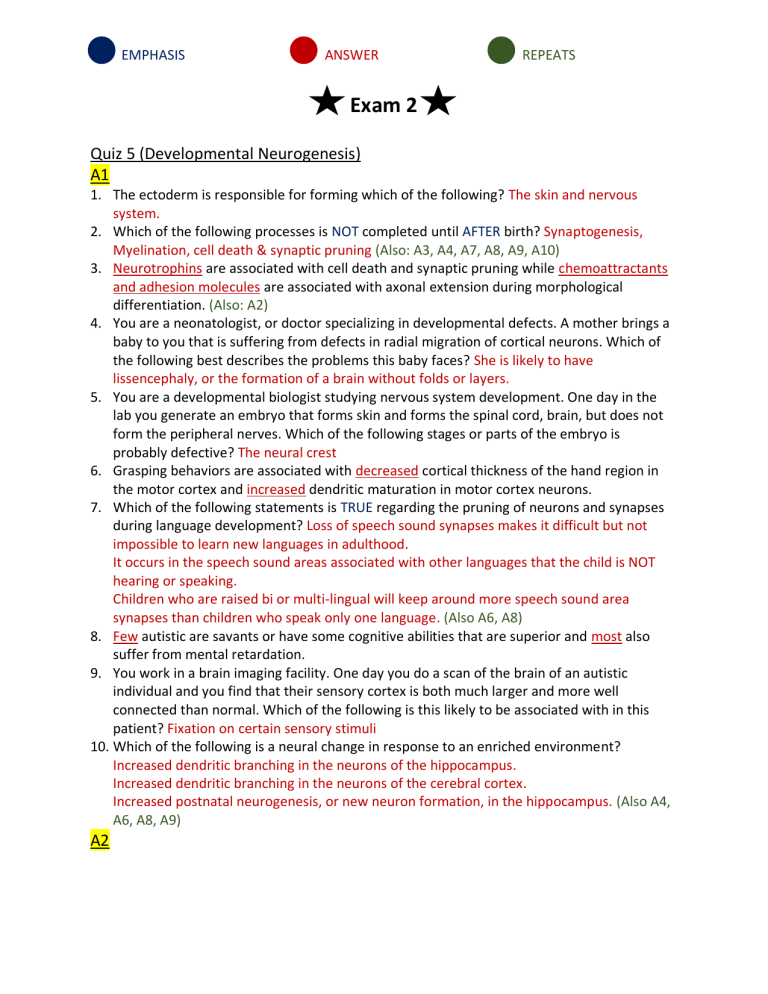 Neuroscience Exam Study Guide