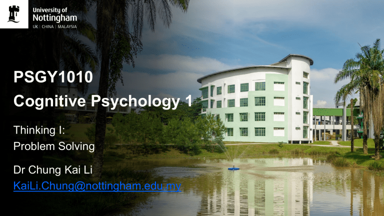 Cognitive Psychology 1: Problem Solving Lecture Notes