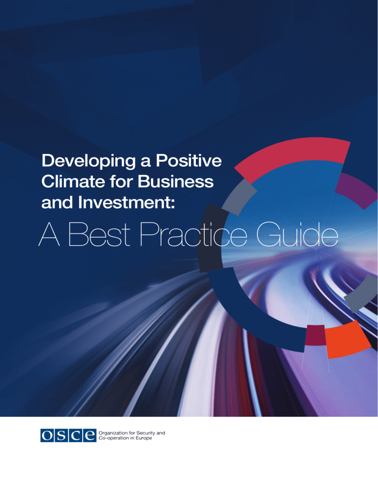 Developing a Positive Climate for Business and Investment: Best ...