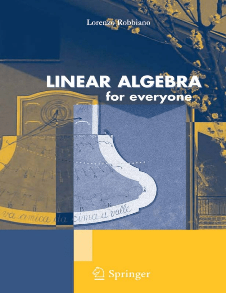 Linear Algebra for Everyone Textbook by Lorenzo Robbiano