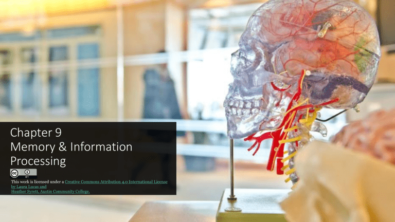 Chapter 9: Memory & Information Processing