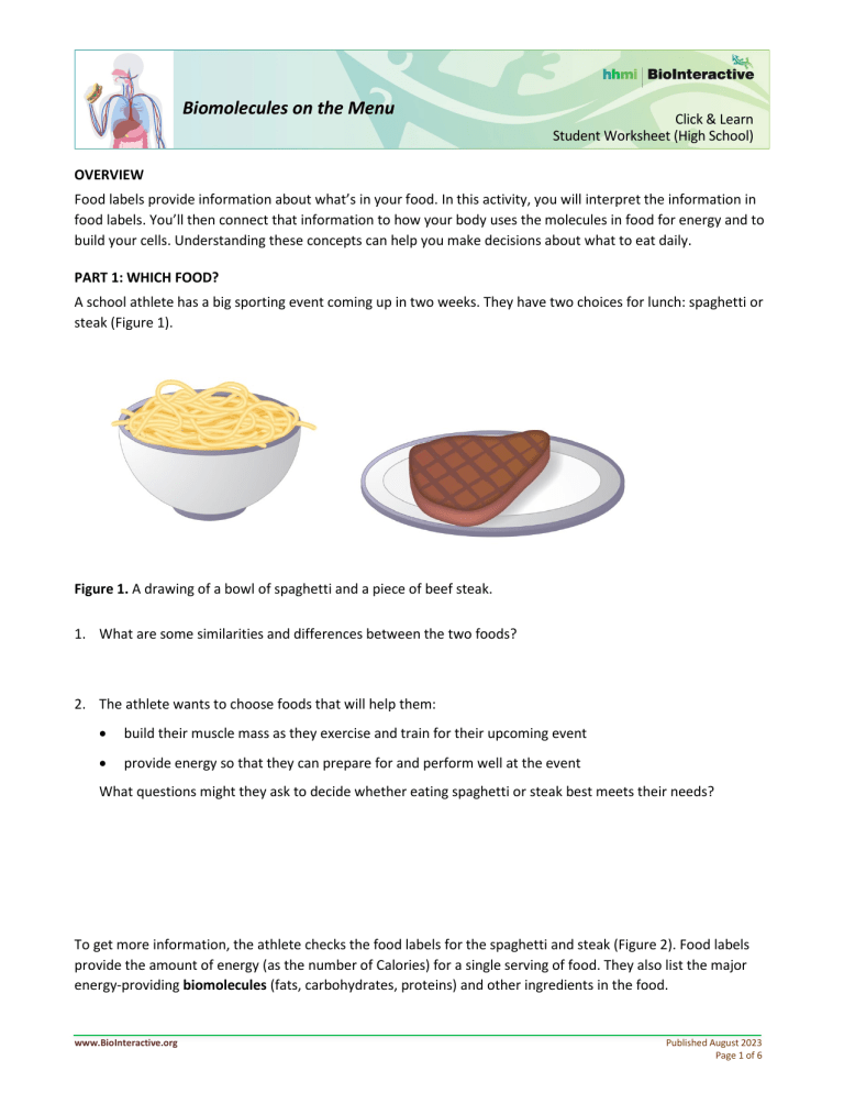 Biomolecules & Nutrition Worksheet