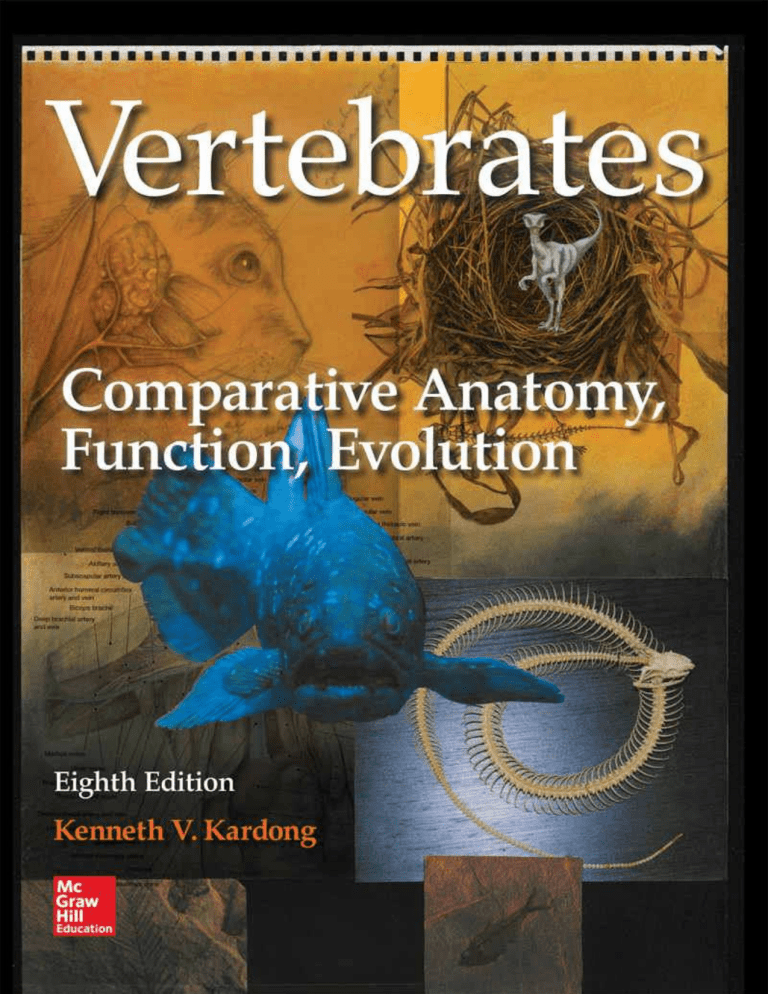 Vertebrates: Comparative Anatomy, Function