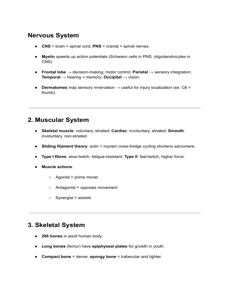 Human Anatomy & Physiology Study Guide: Body Systems Overview