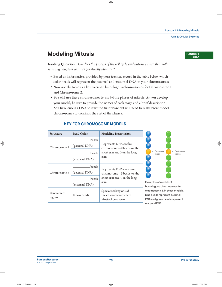 Pre-AP Biology Unit 3 Lesson 3.8: Modeling Mitosis Handout
