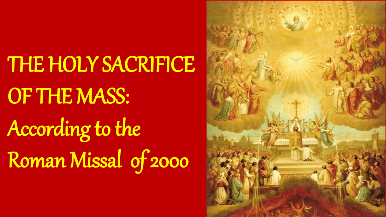 Understanding the Holy Mass: A Study Guide