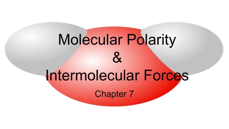 Molecular Polarity & Intermolecular Forces Chapter 7