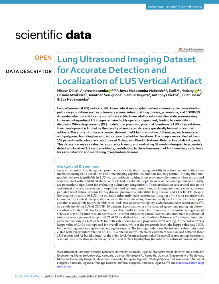 Lung Ultrasound Dataset for LUS Vertical Artifact Detection