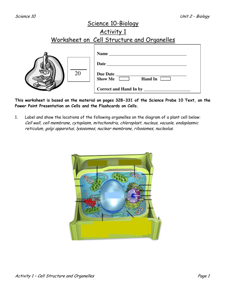 Science 10 Biology Worksheet: Cell Structure & Organelles