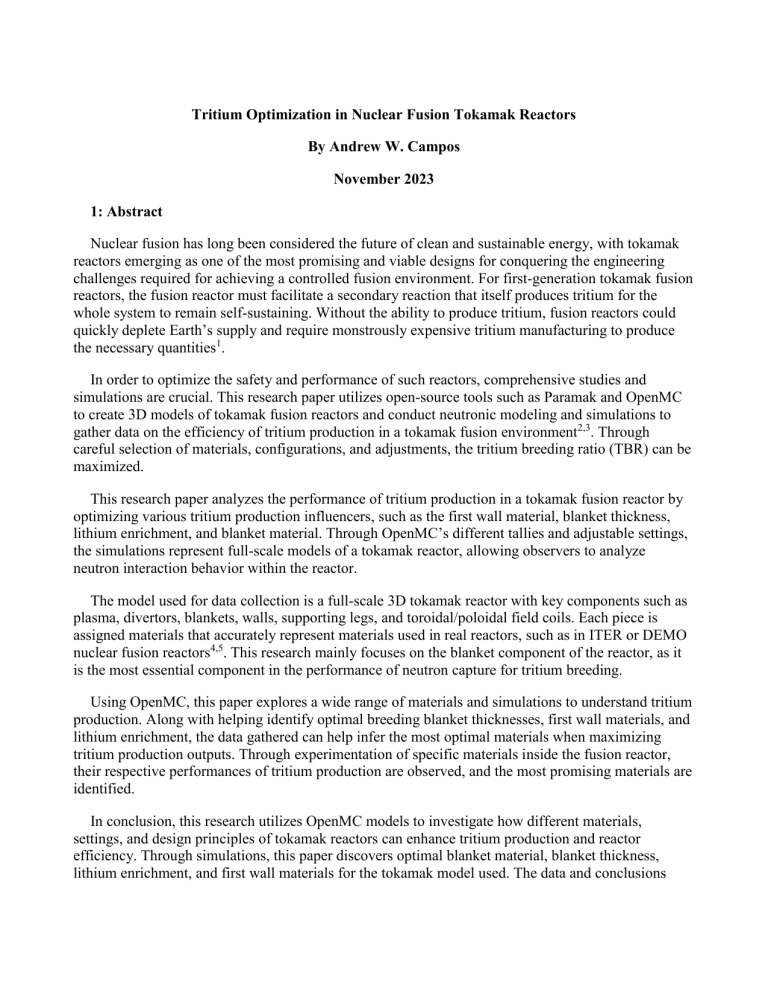 Tritium Optimization in Nuclear Fusion Tokamak Reactors