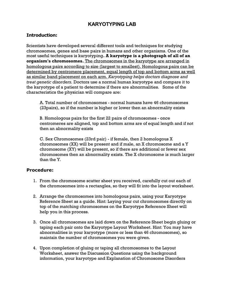 Karyotyping Lab: Genetics Worksheet