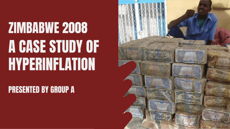 Zimbabwe 2008 Hyperinflation Case Study