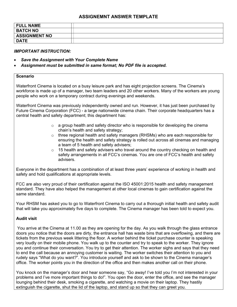 Health and Safety Audit Assignment Template