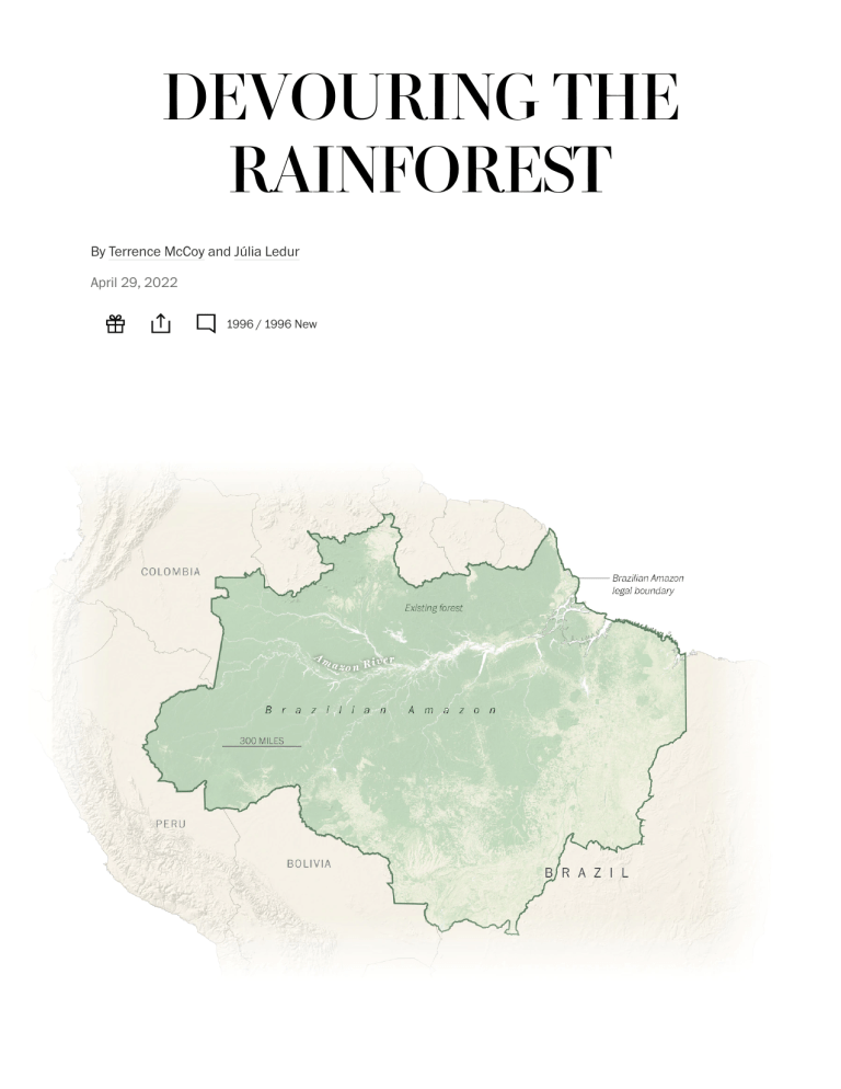 Devouring the Rainforest: Beef's Role in Amazon Deforestation