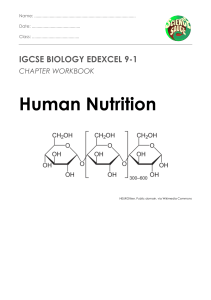 IGCSE Biology Workbook: Human Nutrition
