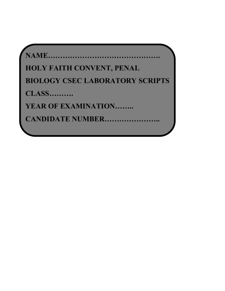 CSEC Biology Laboratory Scripts: Holy Faith Convent