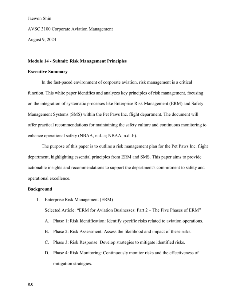 Risk Management Principles in Corporate Aviation