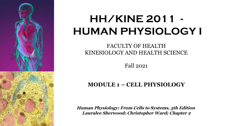HH/KINE 2011 Human Physiology I Module 1: Cell Physiology