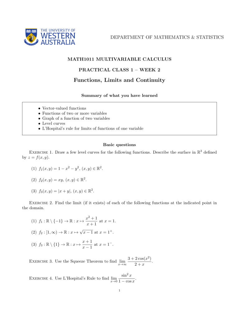 MATH1011 Multivariable Calculus Practical Class 1: Functions, Limits ...