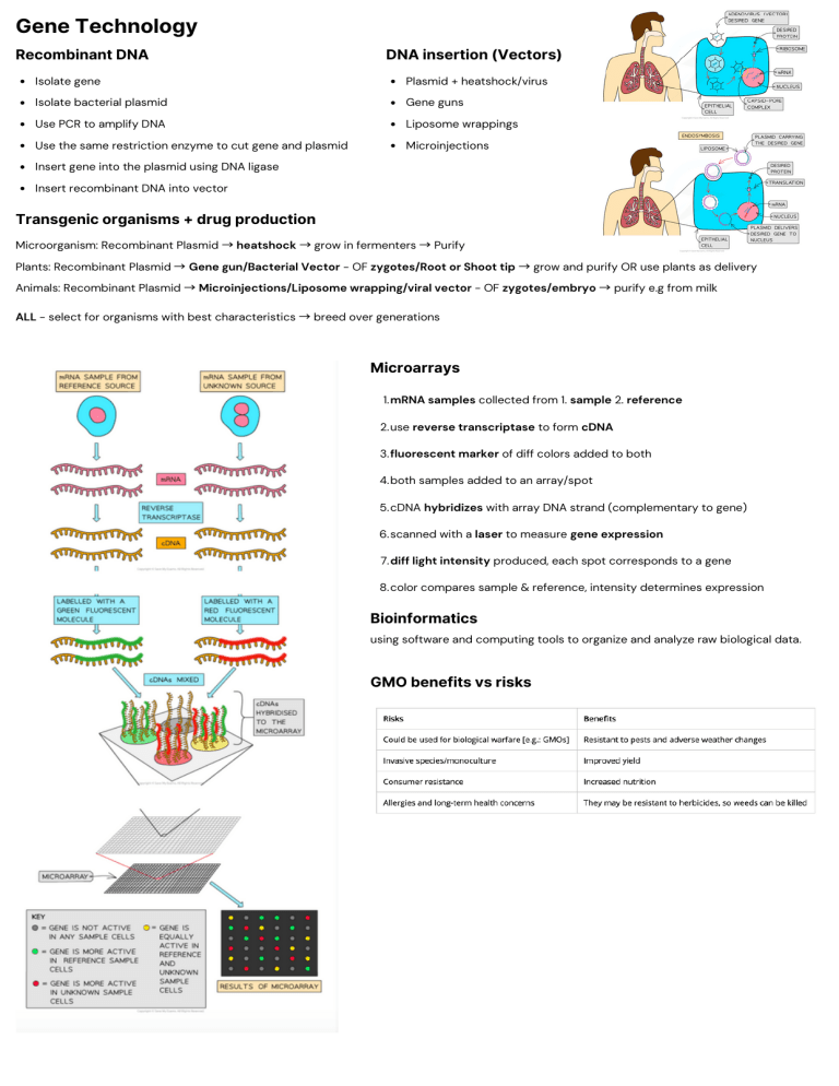Gene Technology: Recombinant DNA & GMOs