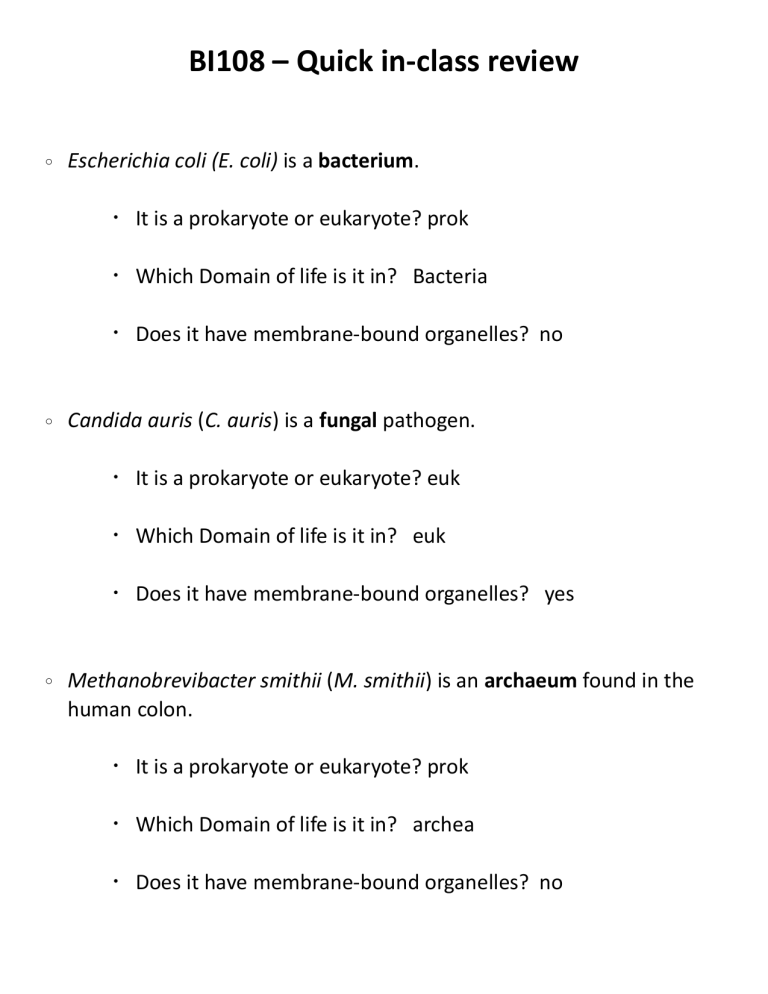 BI108 Quick In-Class Review: Microbiology Basics