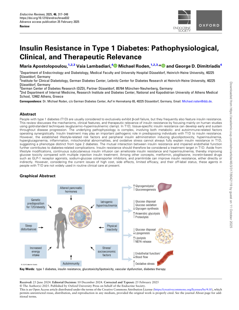 Insulin Resistance in Type 1 Diabetes: Pathophysiology, Clinical, and ...