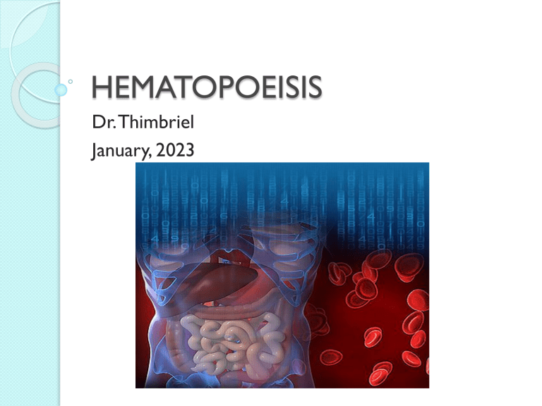 Hematopoiesis Lecture by Dr. Thimbriel