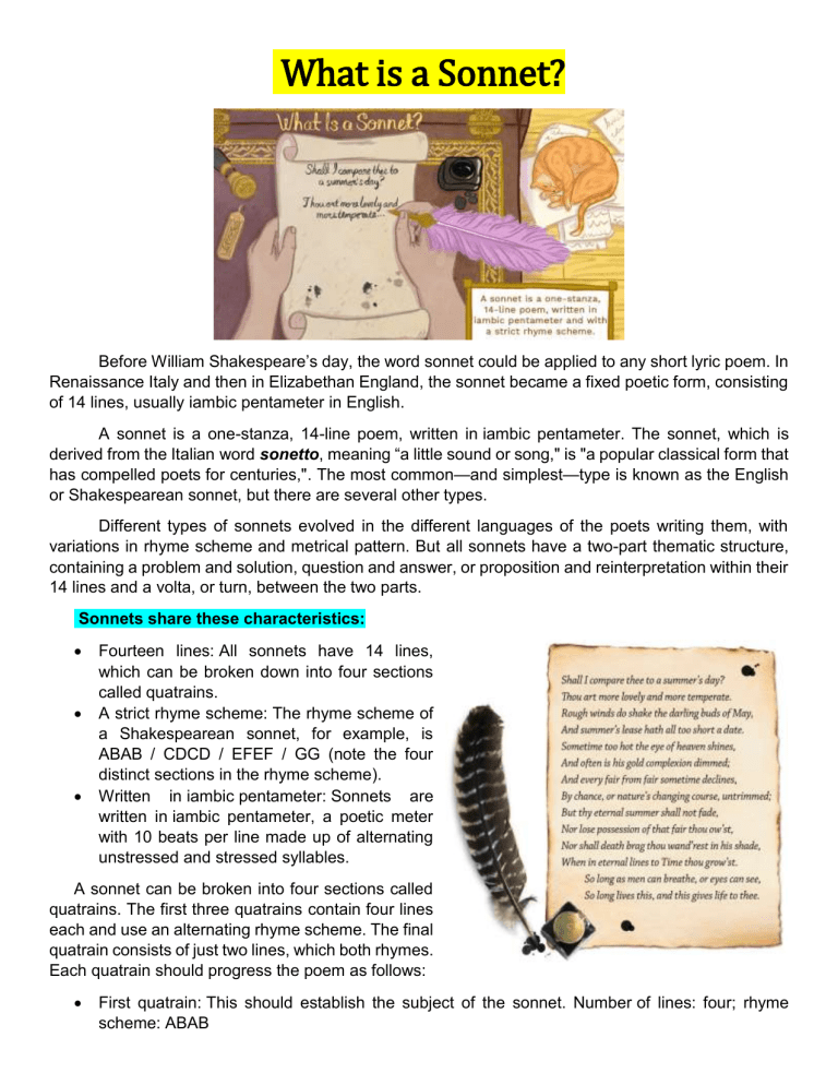 What is a Sonnet? Structure and Types Explained