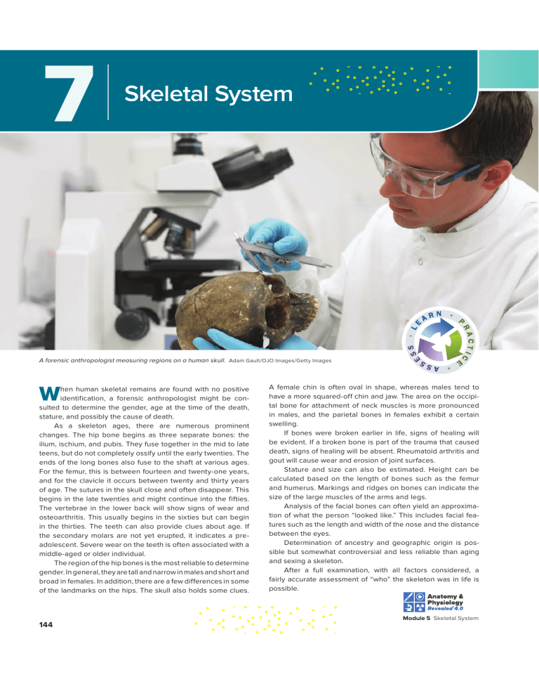 Skeletal System: Forensic Anthropology & Bone Analysis