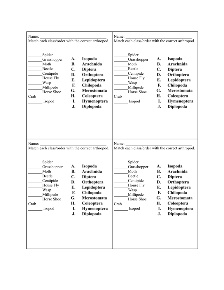 Arthropod Classification Matching Worksheet