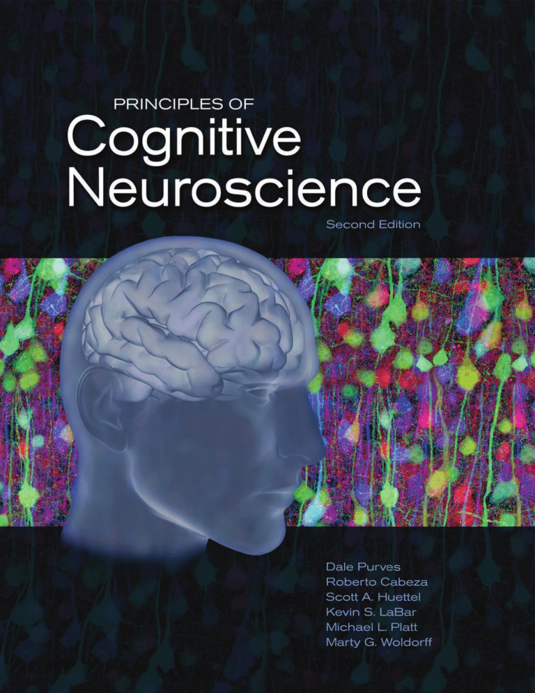 Principles of Cognitive Neuroscience 2nd Ed.