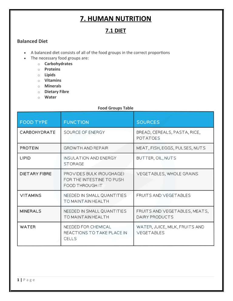 Human Nutrition: Balanced Diet & Food Groups