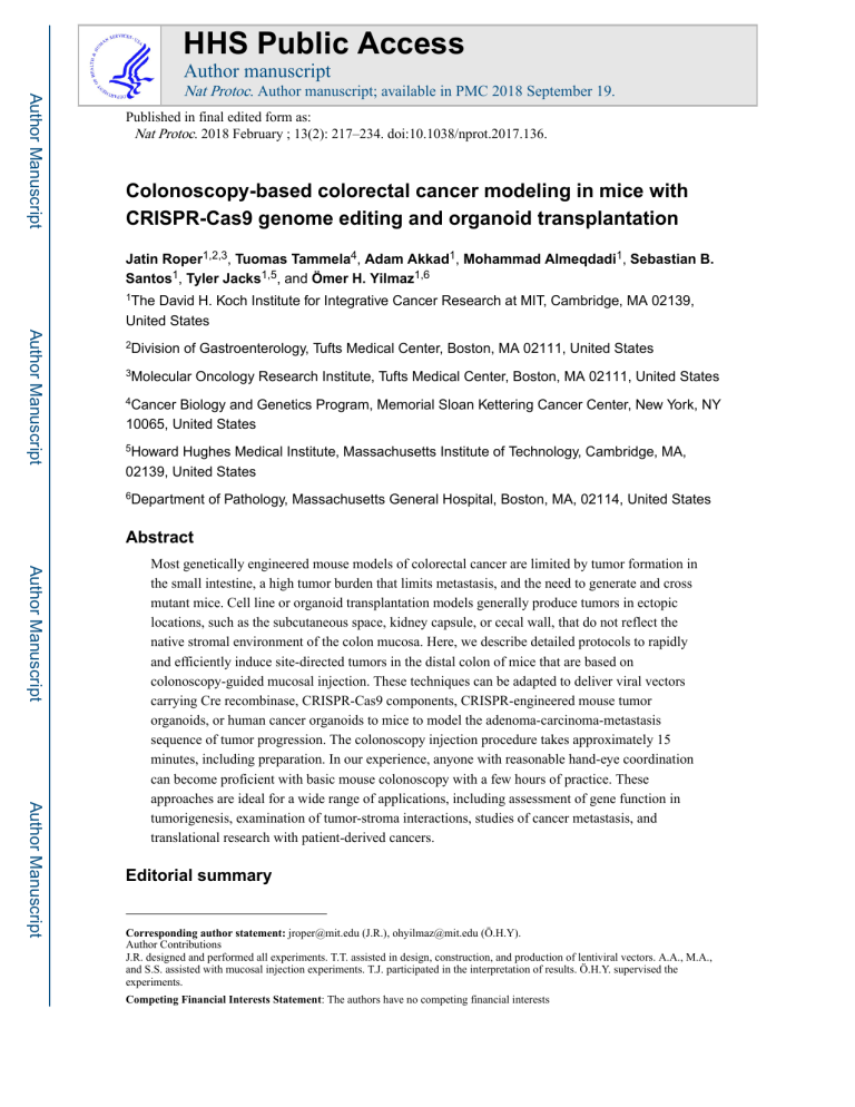 CRISPR-Cas9 Colon Cancer Modeling in Mice: Protocol