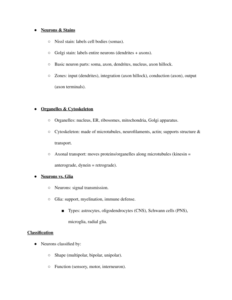 Neuron Structure & Neural Signaling Outline